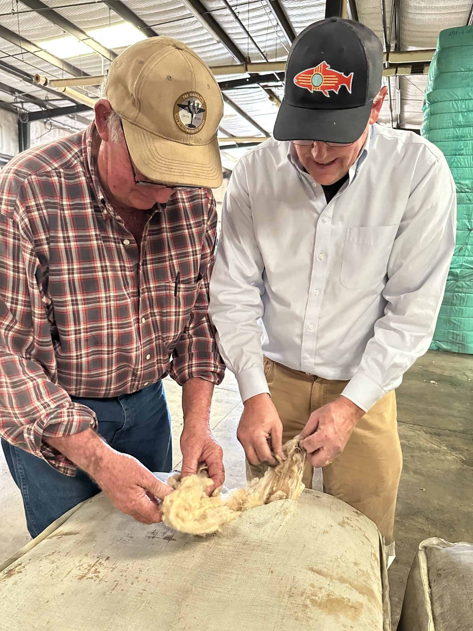 Roswell Wool Brokers – Where Quality Wool Meets World-Class Markets